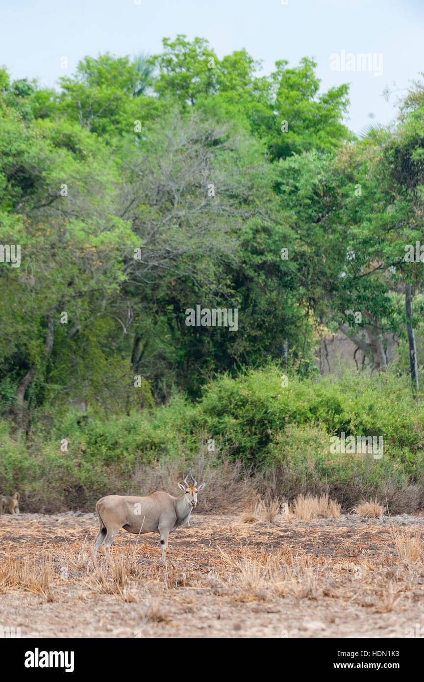 Save valley conservancy hi-res stock photography and images - Alamy