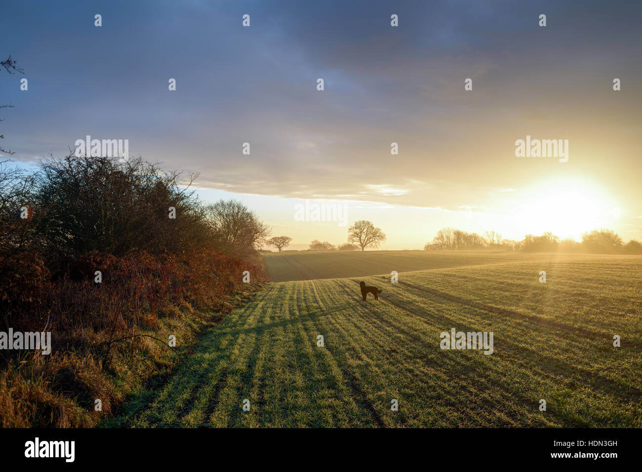 Misk hills hucknall nottinghamshire uk hi-res stock photography and ...