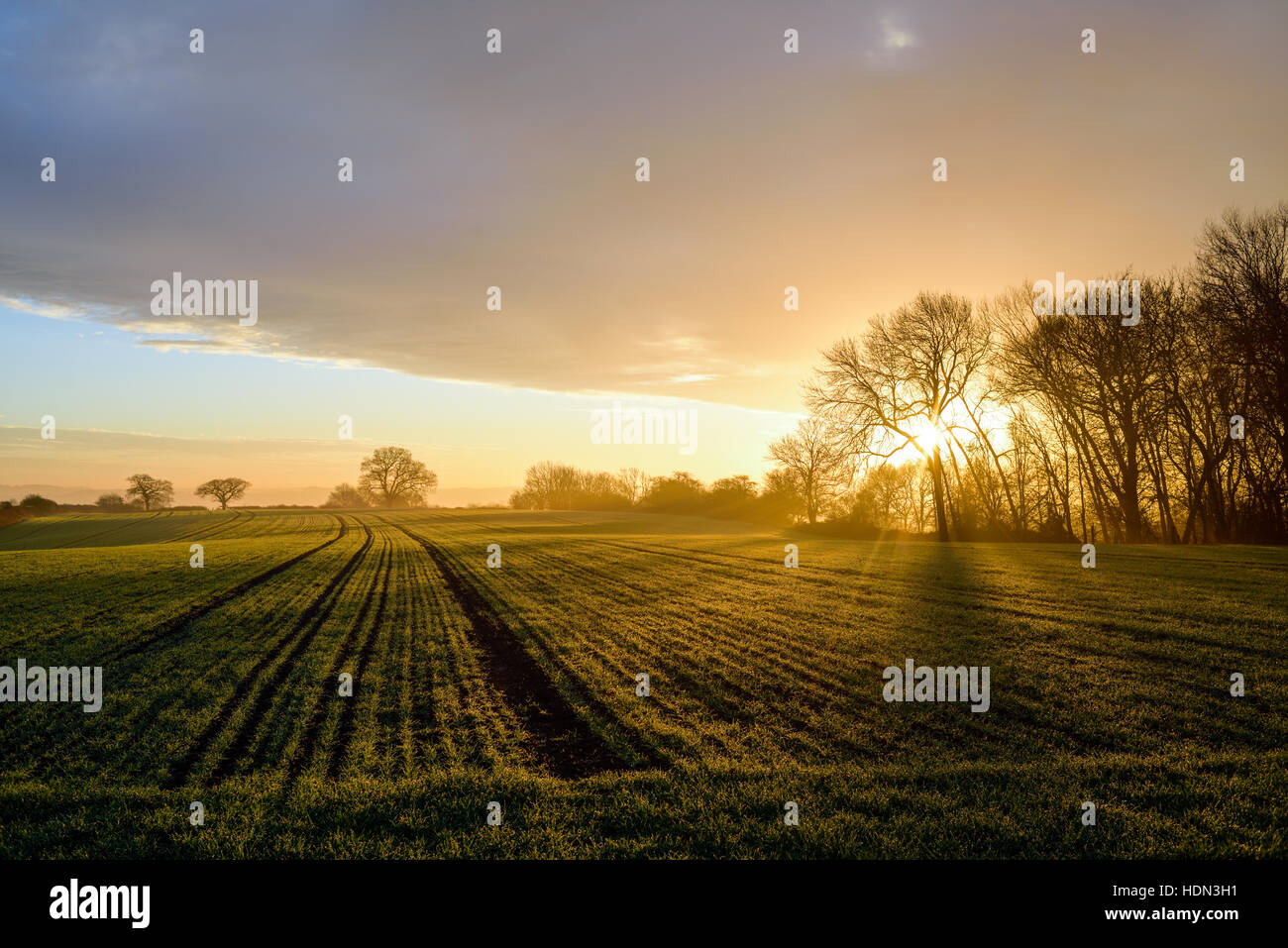 Misk Hills, Hucknall, Nottinghamshire, UK. 13th Dec, 2016. Beautiful ...