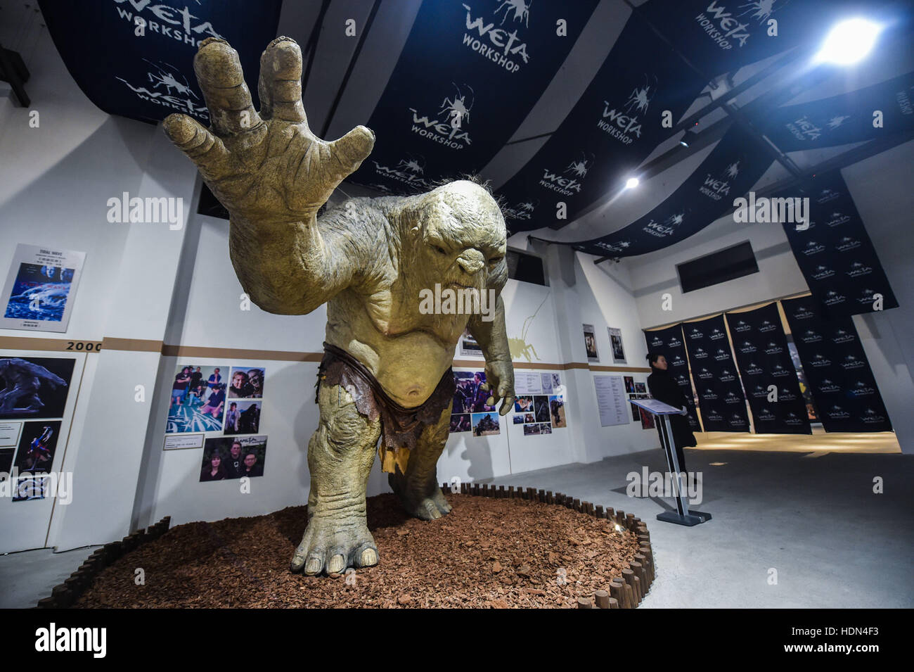 Tongxiang, China. 13th Dec, 2016. Photo taken on Dec. 13, 2016 shows a ...