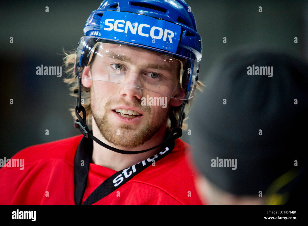 Prague, Czech Republic. 13th Dec, 2016. Czech National Team hockey ...
