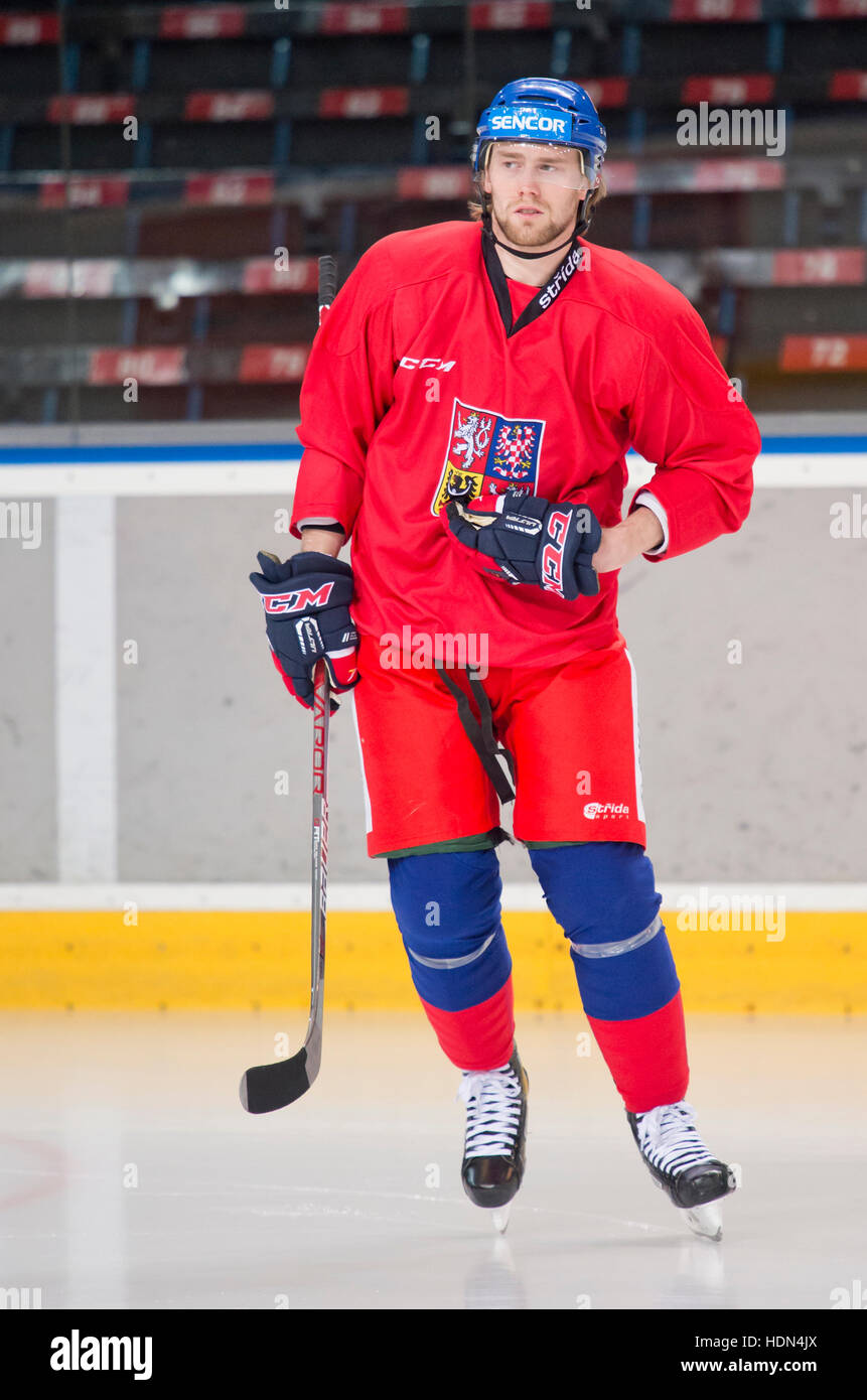 Prague, Czech Republic. 13th Dec, 2016. Czech National Team hockey ...