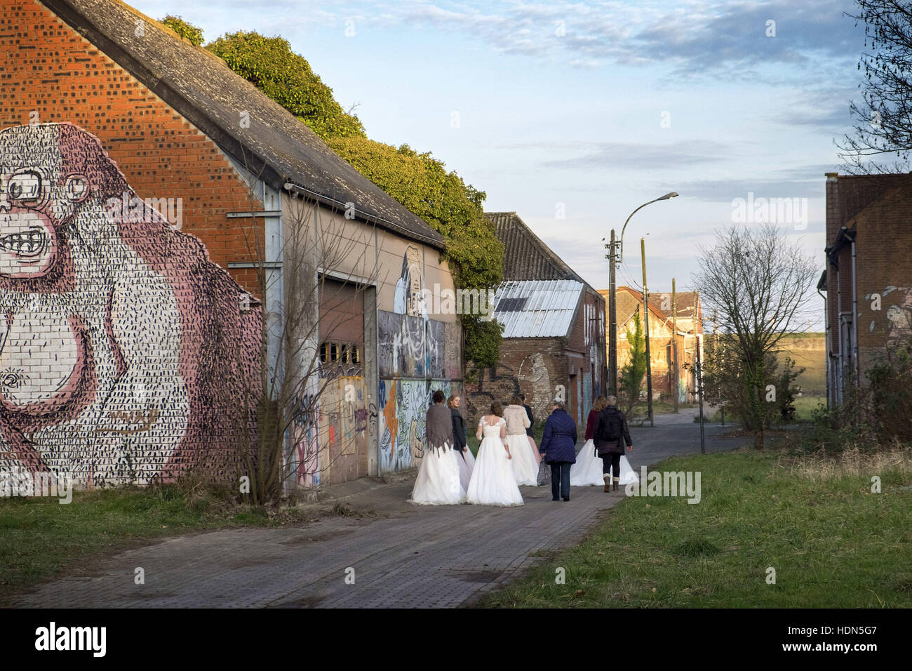 Doel, Belgium. 9th Dec, 2016. Belgium, Doel. The cooling towers of the ...