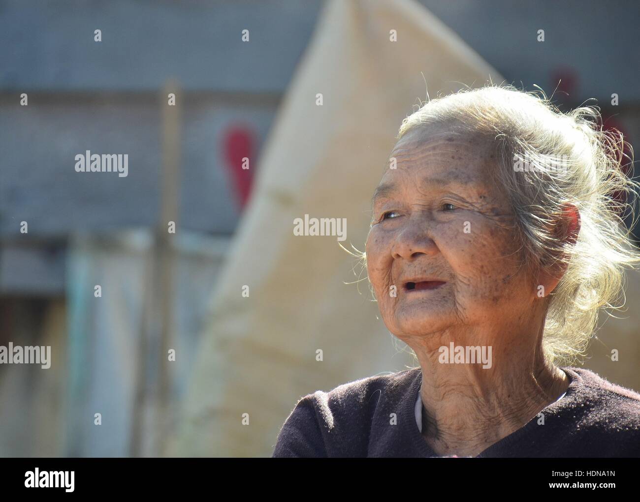 79 year old woman hi-res stock photography and images - Alamy