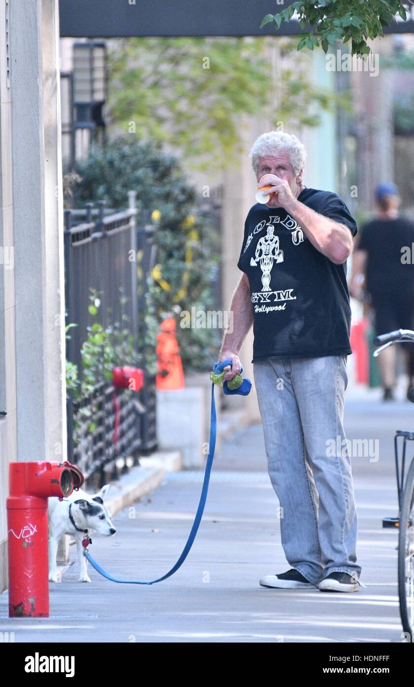 Ron Perlman walking his dog in the East Village Featuring: Ron Perlman ...