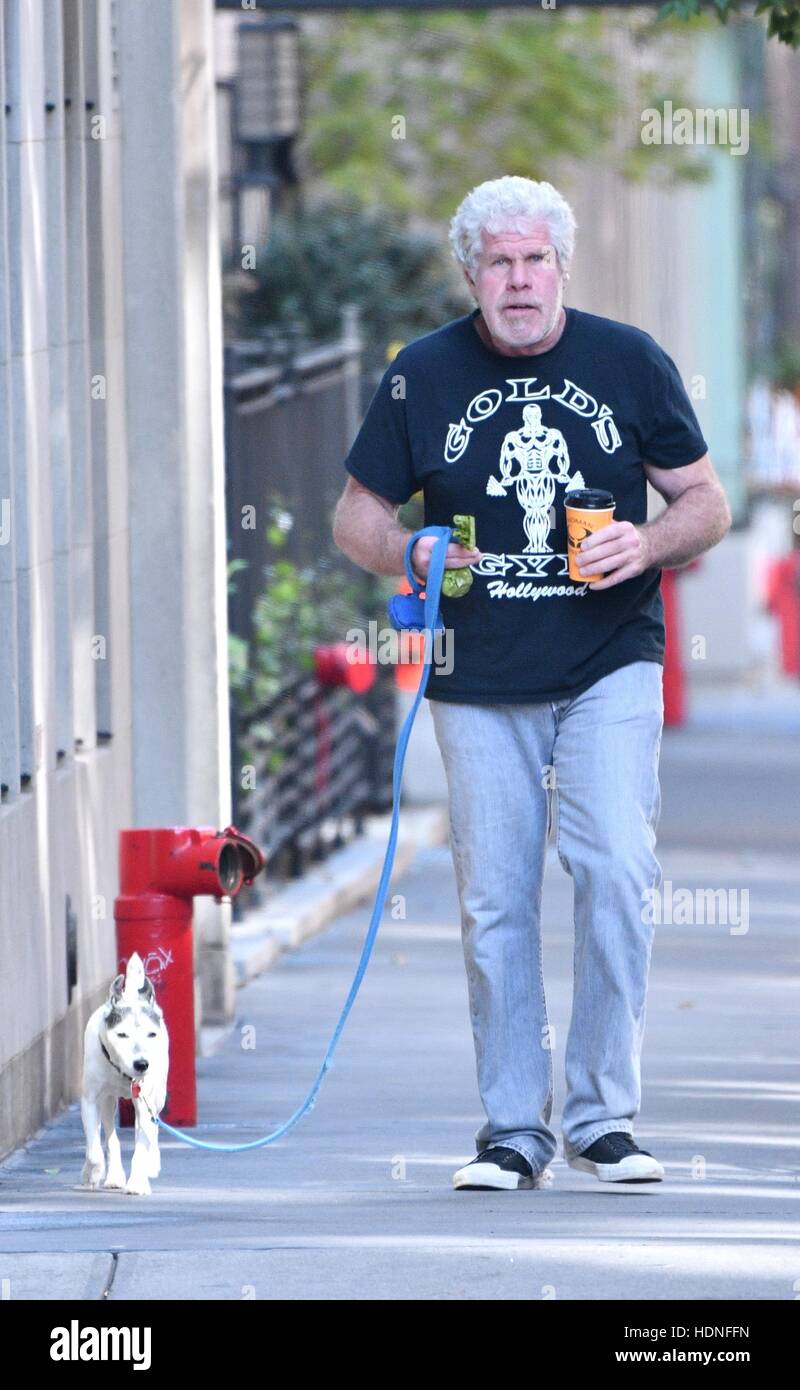 Ron Perlman walking his dog in the East Village Featuring: Ron Perlman ...