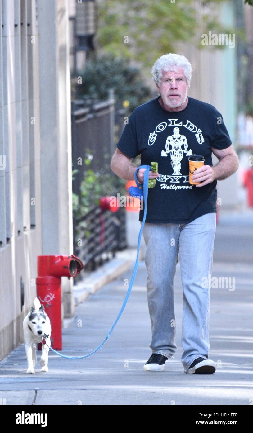Ron Perlman walking his dog in the East Village Featuring: Ron Perlman ...