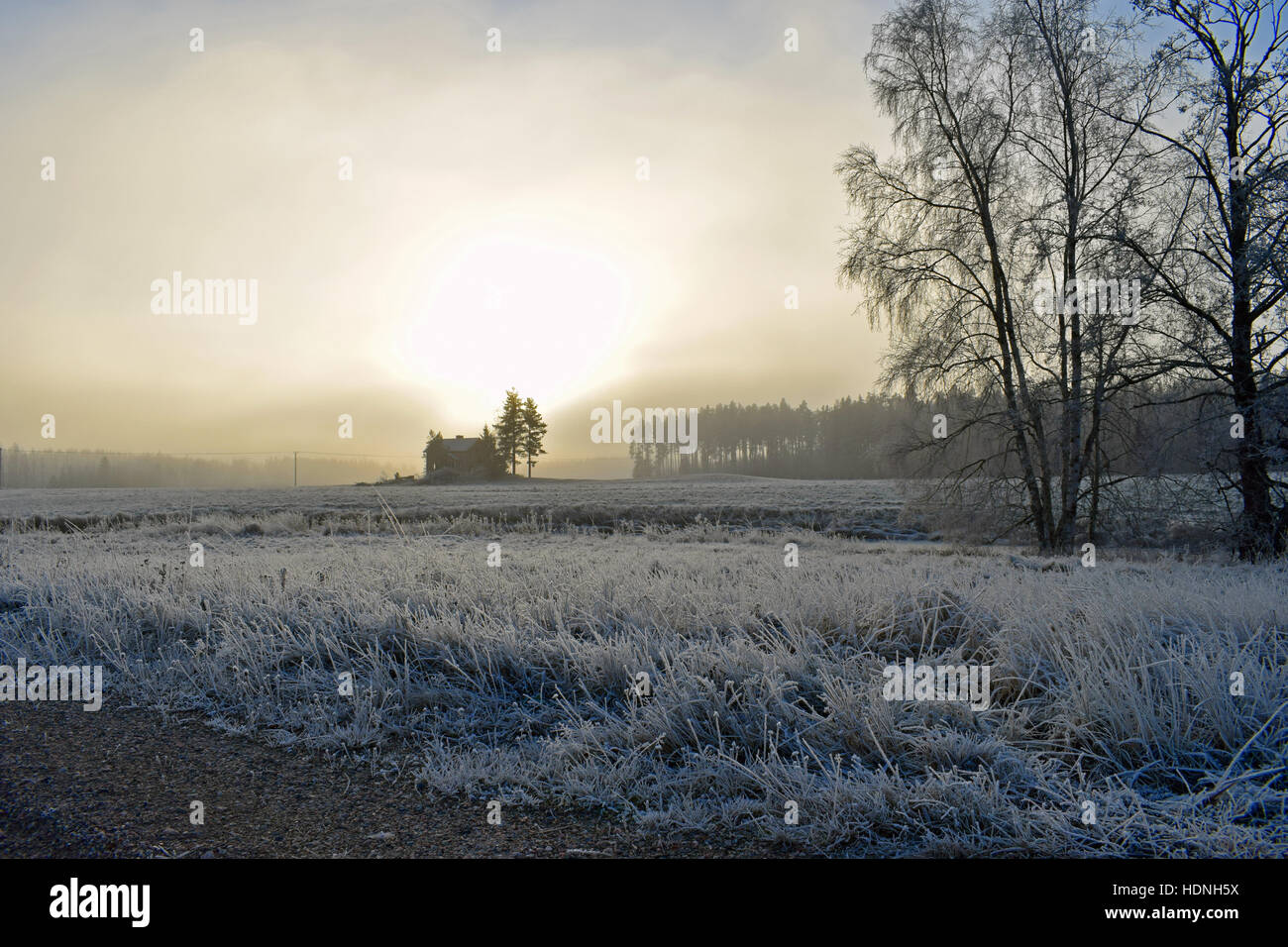 Beautiful cold landscape with frosty grass, deserted house and sun ...