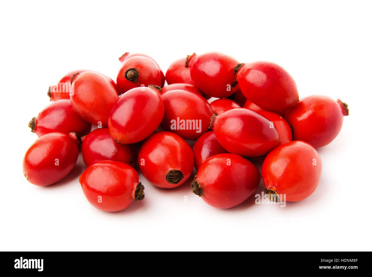 Red rose hip on Cut Out Stock Images & Pictures - Alamy