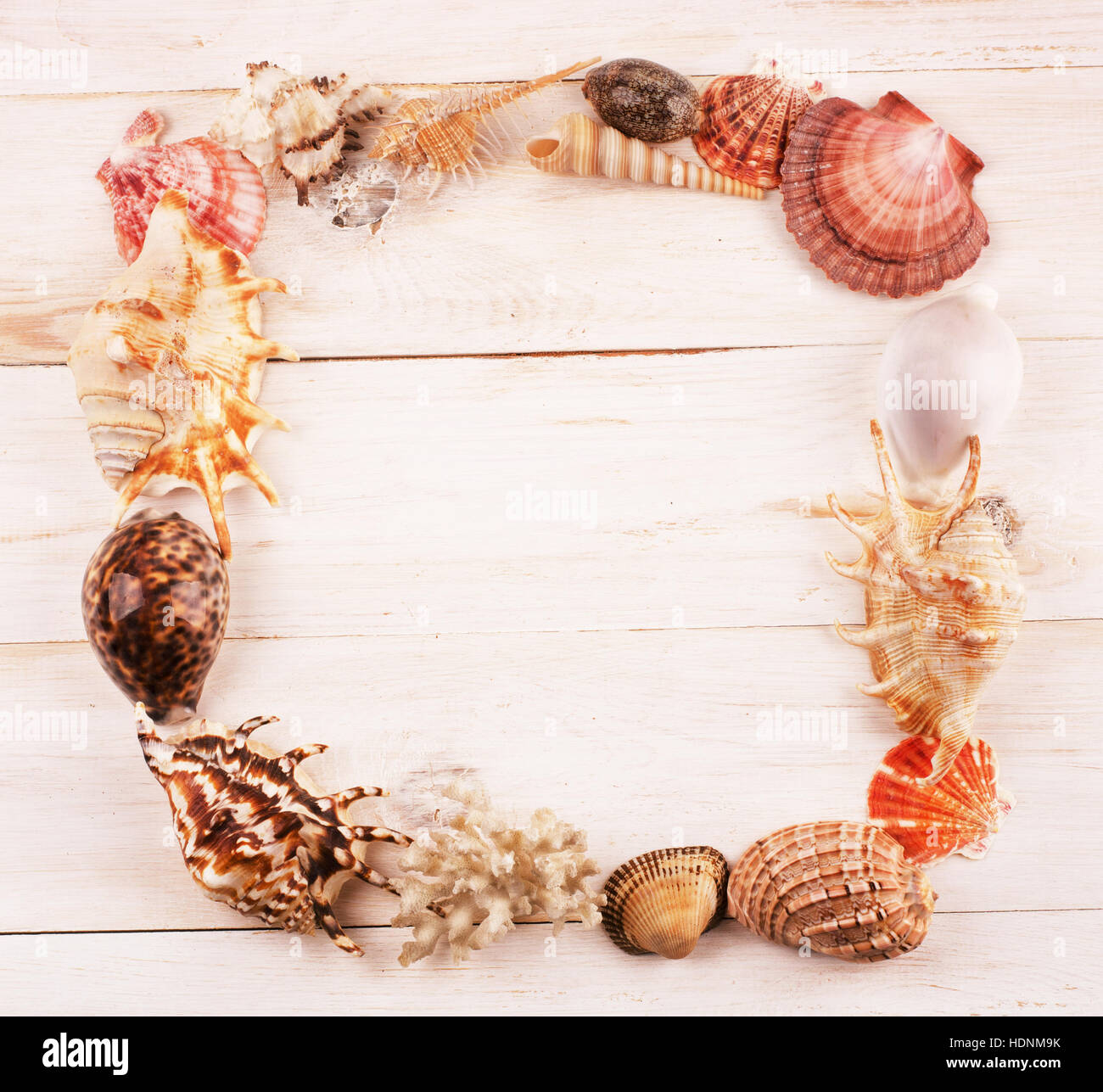 Shell frame hi-res stock photography and images - Alamy