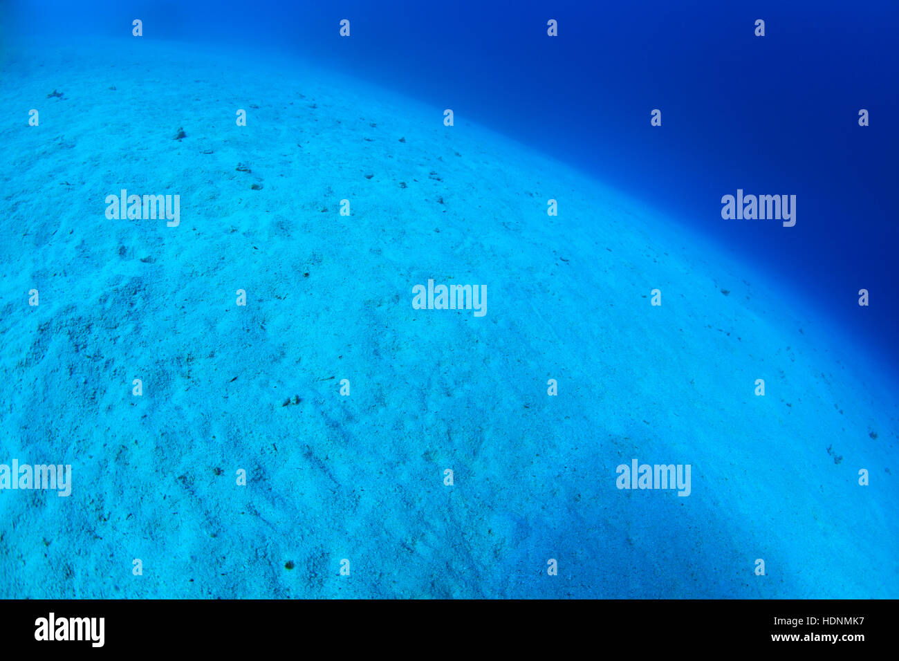 Sandy sea floor of the red sea Stock Photo - Alamy