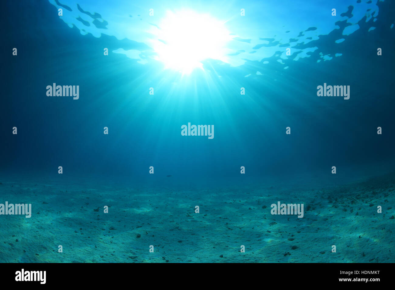 Sandy sea floor of the red sea Stock Photo - Alamy