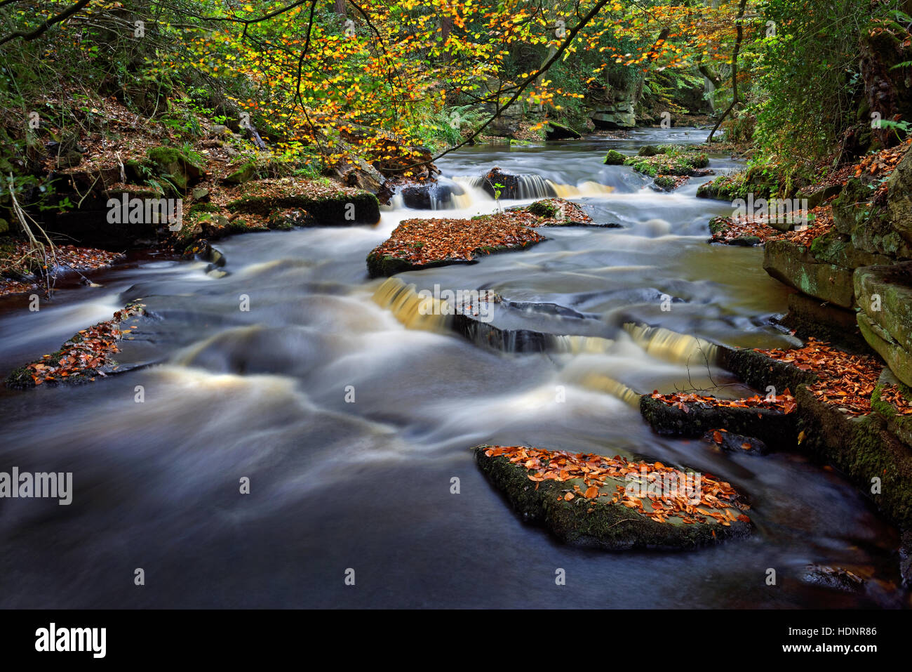 UK, South Yorkshire, Sheffield, River Rivelin in Autumn Stock Photo - Alamy