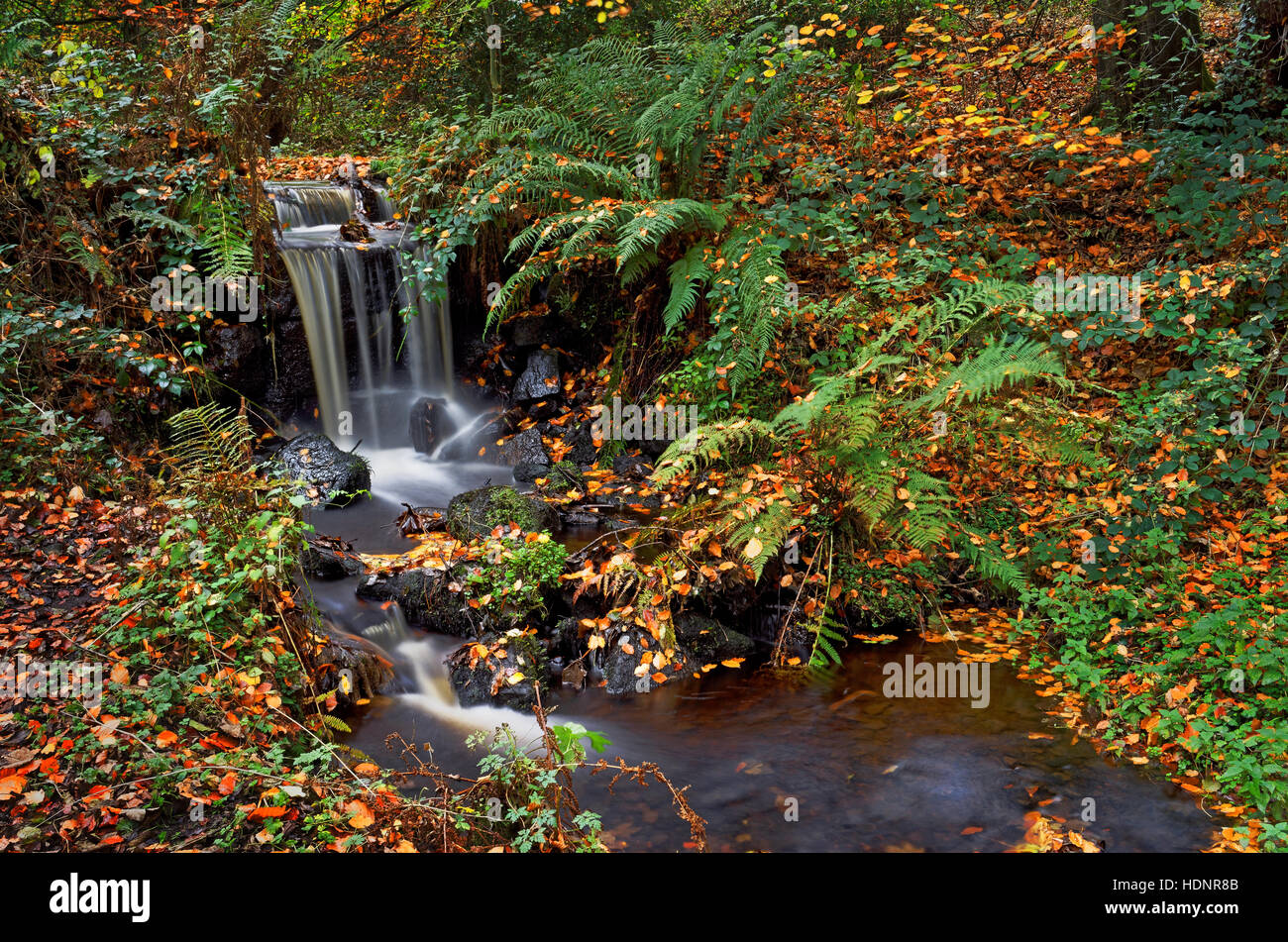 UK,South Yorkshire,Sheffield,Rivelin Valley,Upper Coppice Wheel in ...