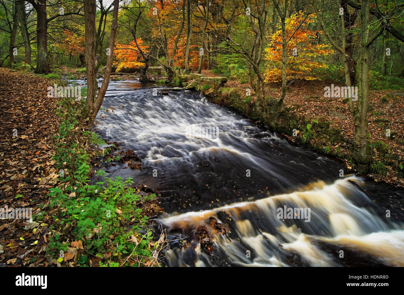 Sheffield river by the rivelin valley hi-res stock photography and ...