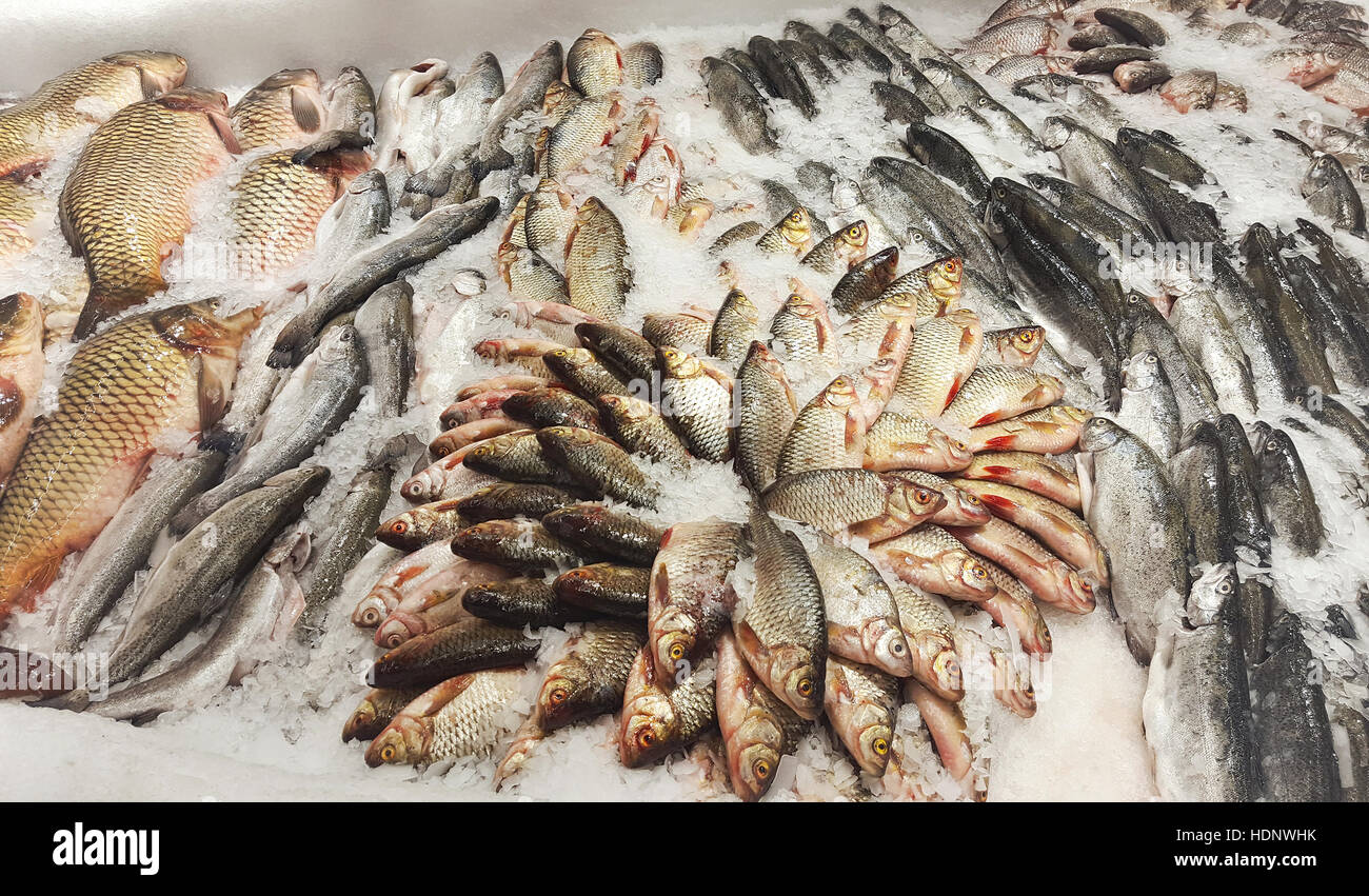 Food and marine hi-res stock photography and images - Alamy