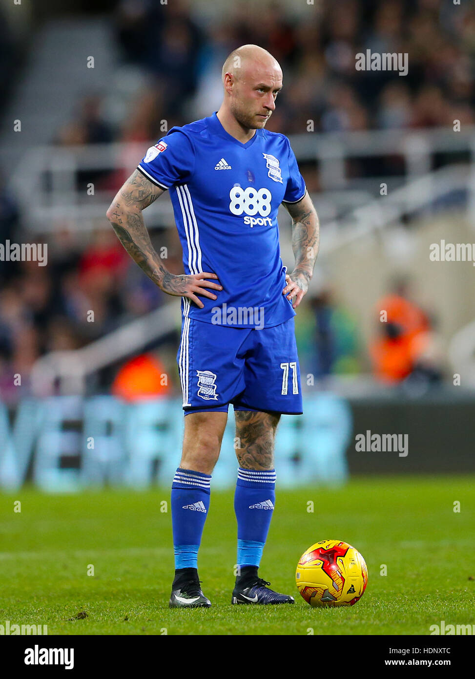 David Cotterill Stock Photos & David Cotterill Stock Images - Alamy