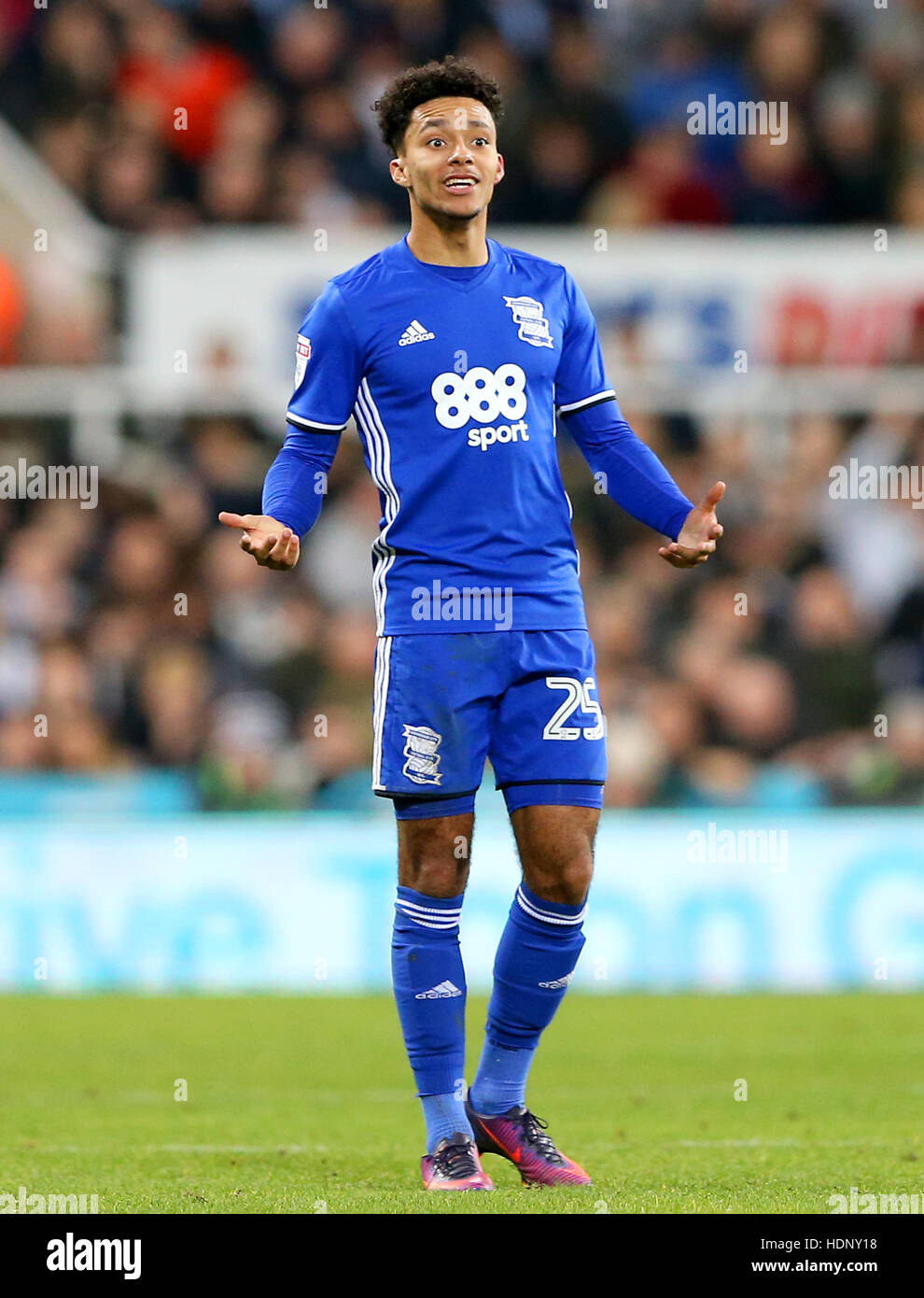 Josh cogley hi-res stock photography and images - Alamy
