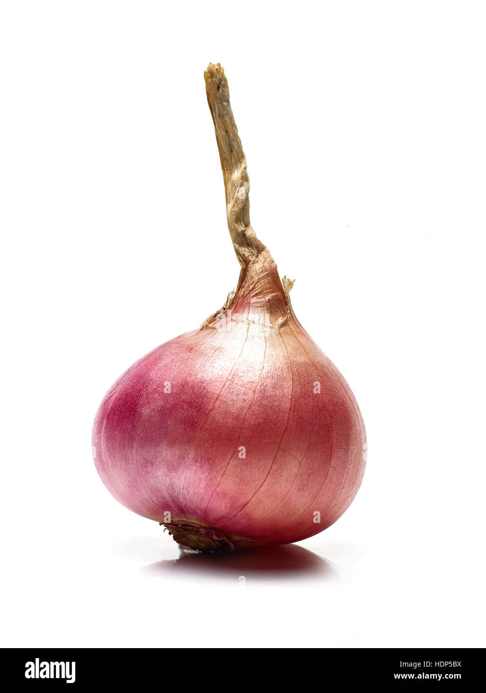 Red shallot on white background Stock Photo - Alamy
