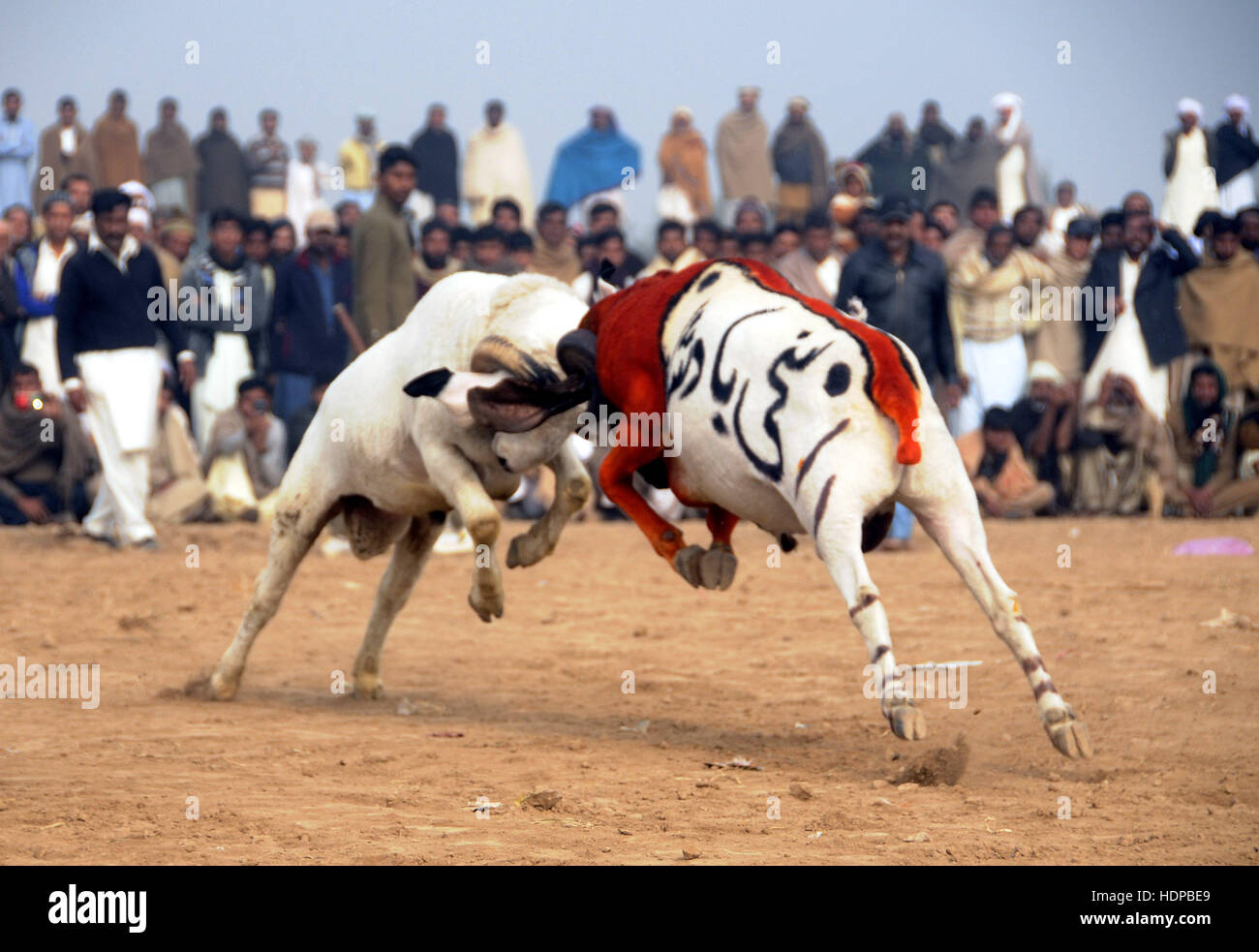 Fight violently hi-res stock photography and images - Alamy