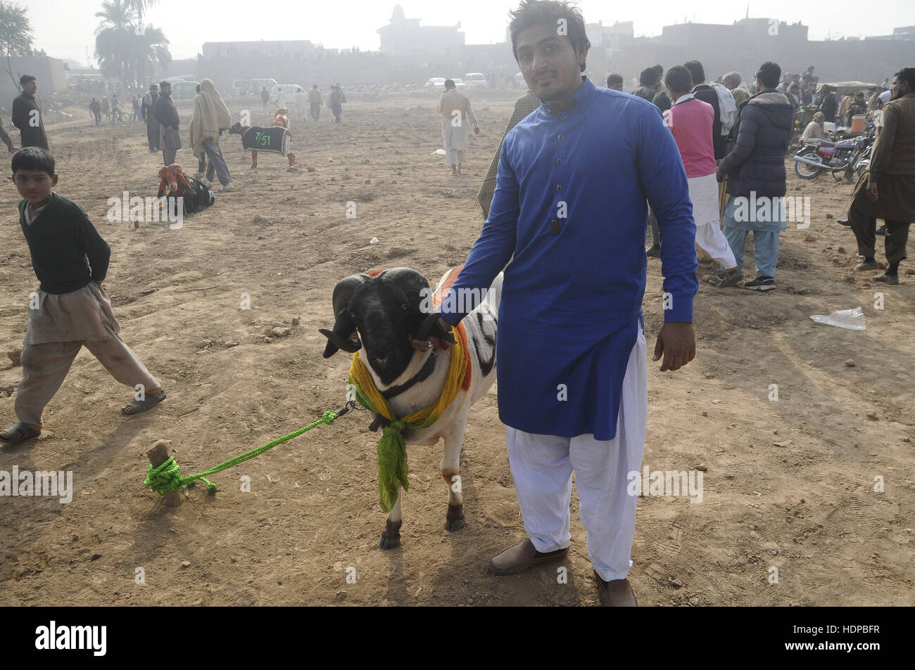 Villagers watch sheep fighting each other to annual sheep fighting ...