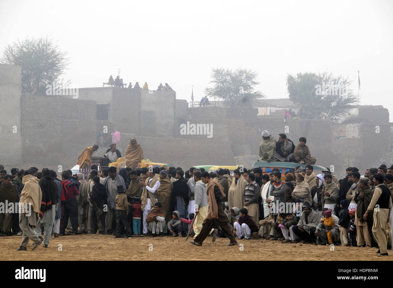 Villagers watch sheep fighting each other to annual sheep fighting ...
