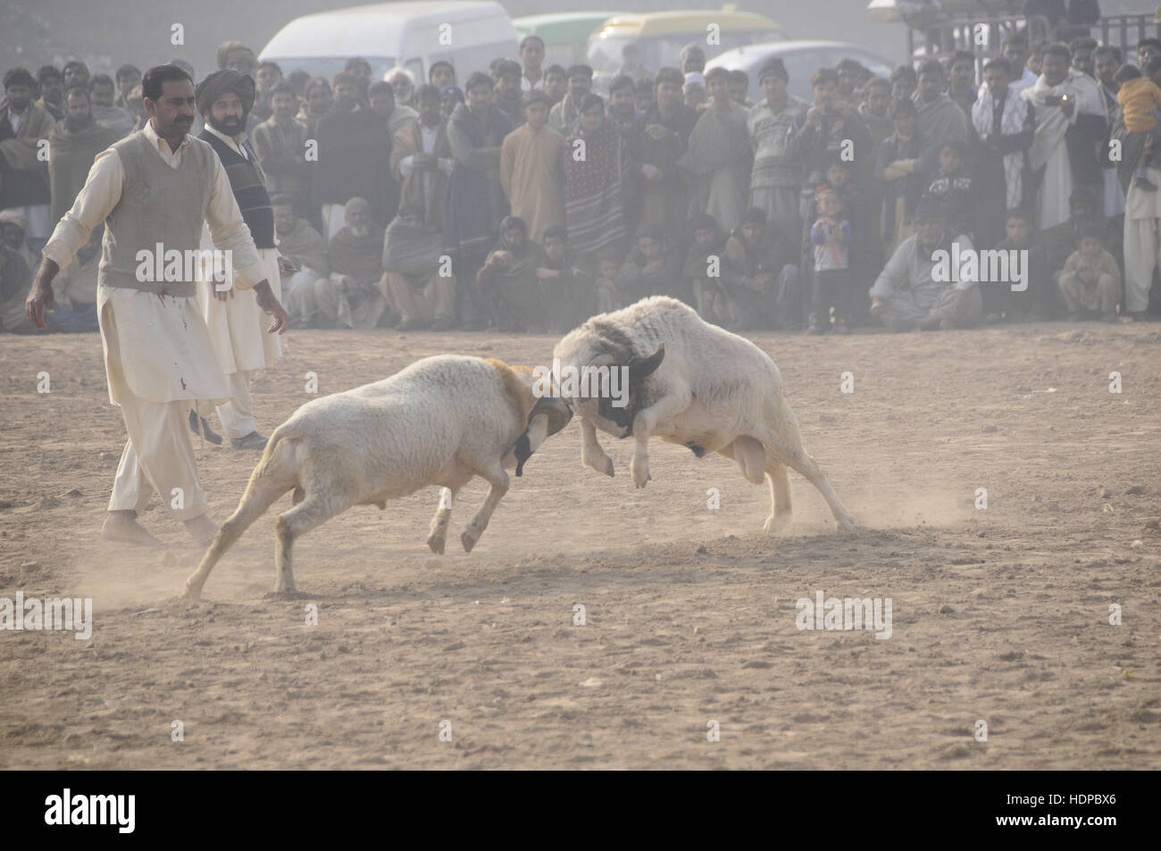 Who were drawn off hi-res stock photography and images - Alamy