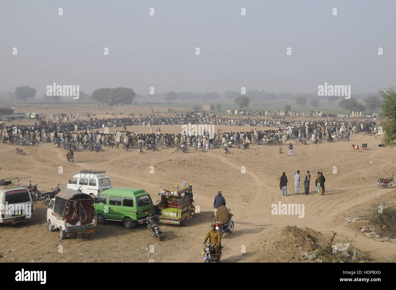 Villagers watch sheep fighting each other to annual sheep fighting ...