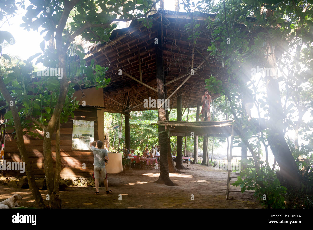 Banana tree island hi-res stock photography and images - Alamy
