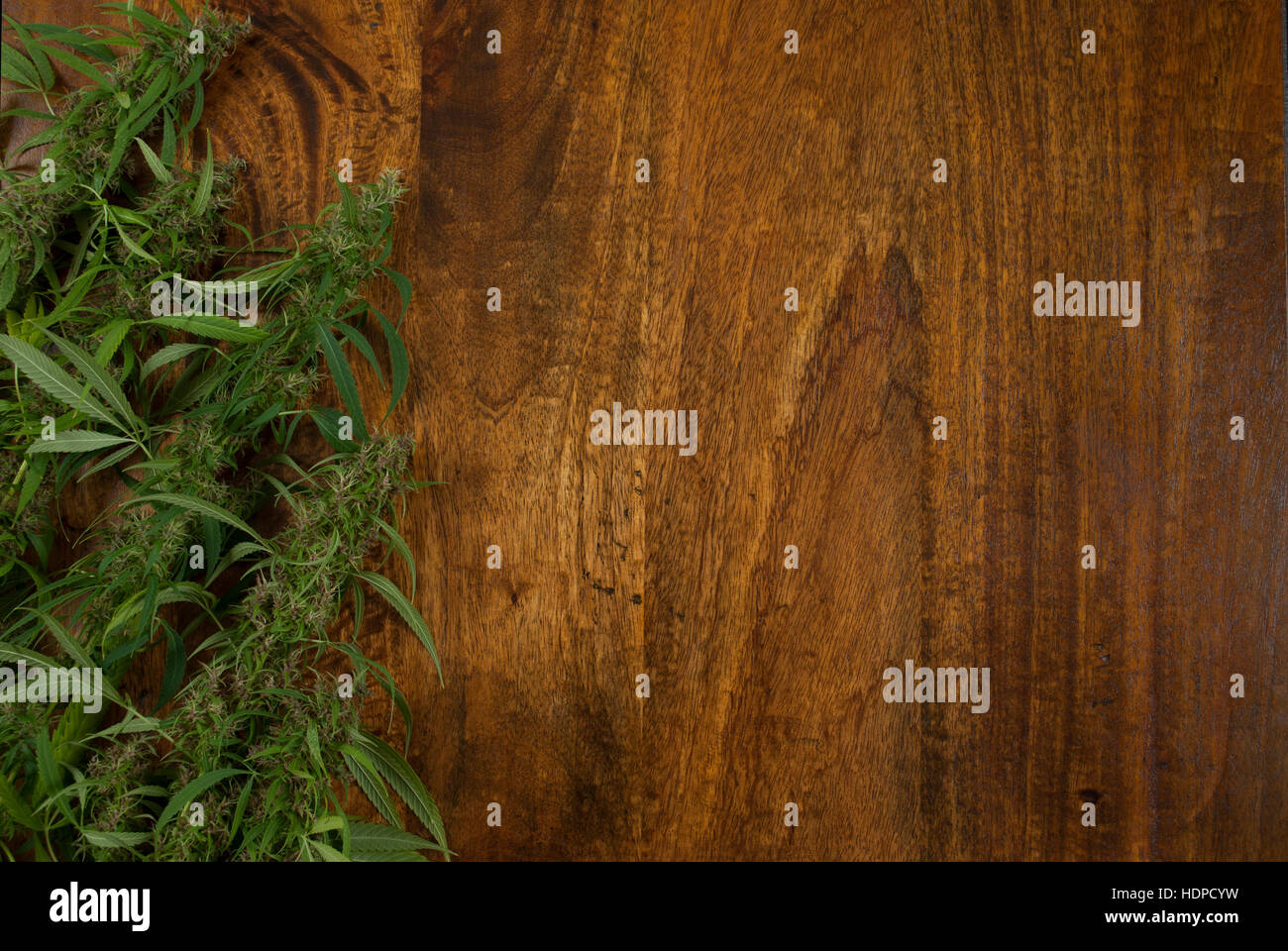 Sensimillia hi-res stock photography and images - Alamy