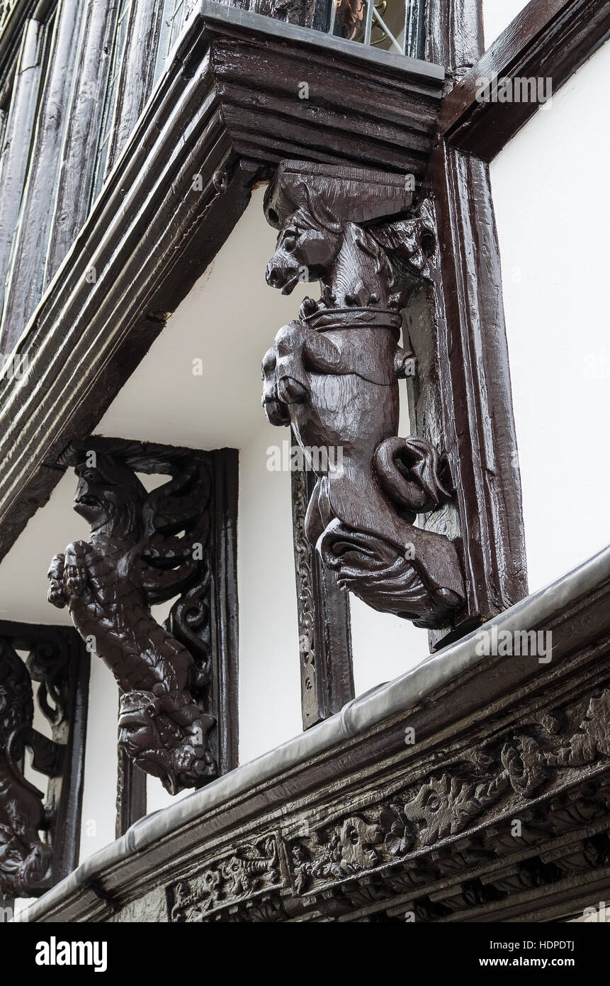 Prancing horses hi-res stock photography and images - Alamy