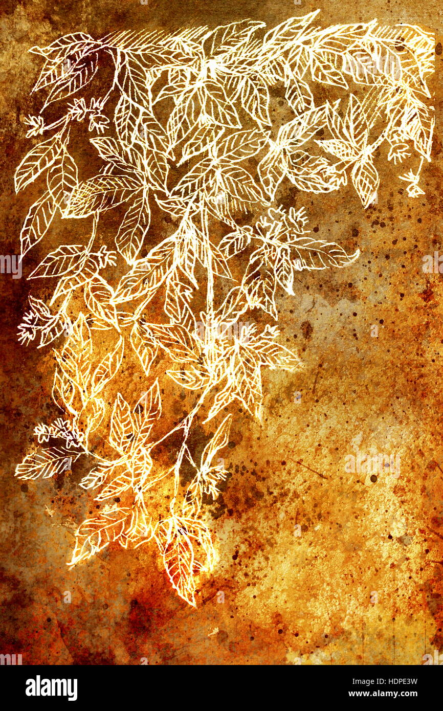 bunch of leaves drawn in ornamental linear style on abstract background ...