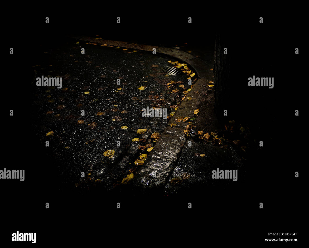 night view curb and road with fallen leafs lit by street lamp Stock ...