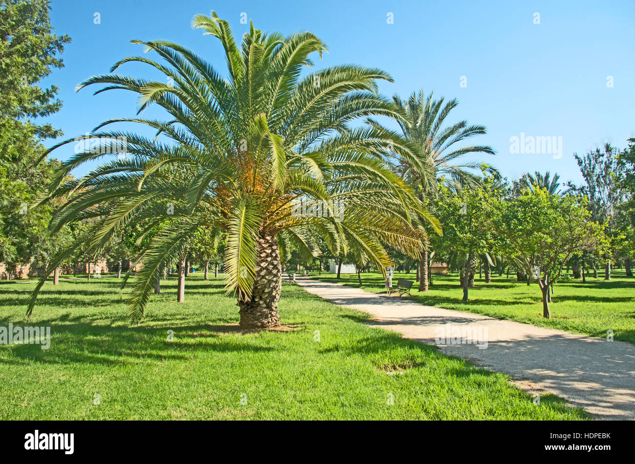 Valencia, Turia Garden Park In Dry River Bed Stock Photo - Alamy