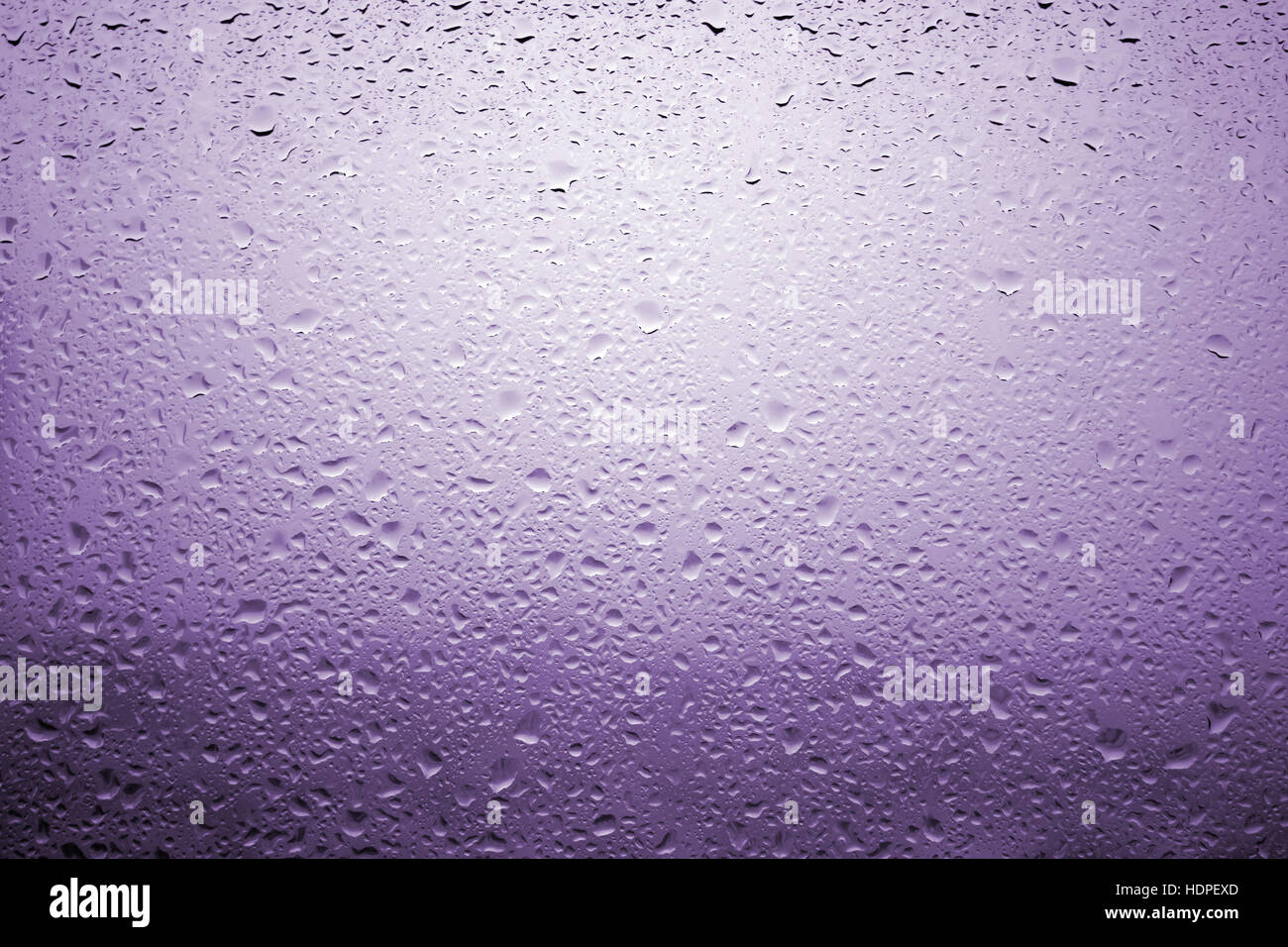 Drops of rain on a window glass with very diffuse landscape purple ...