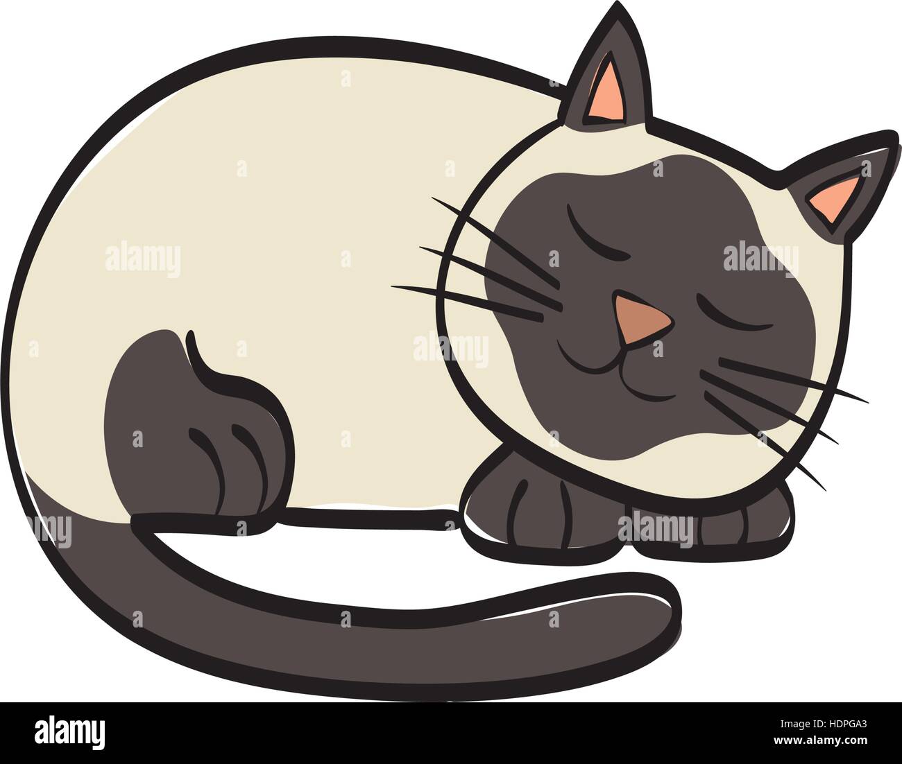 Cute cat cartoon Stock Vector Image & Art - Alamy