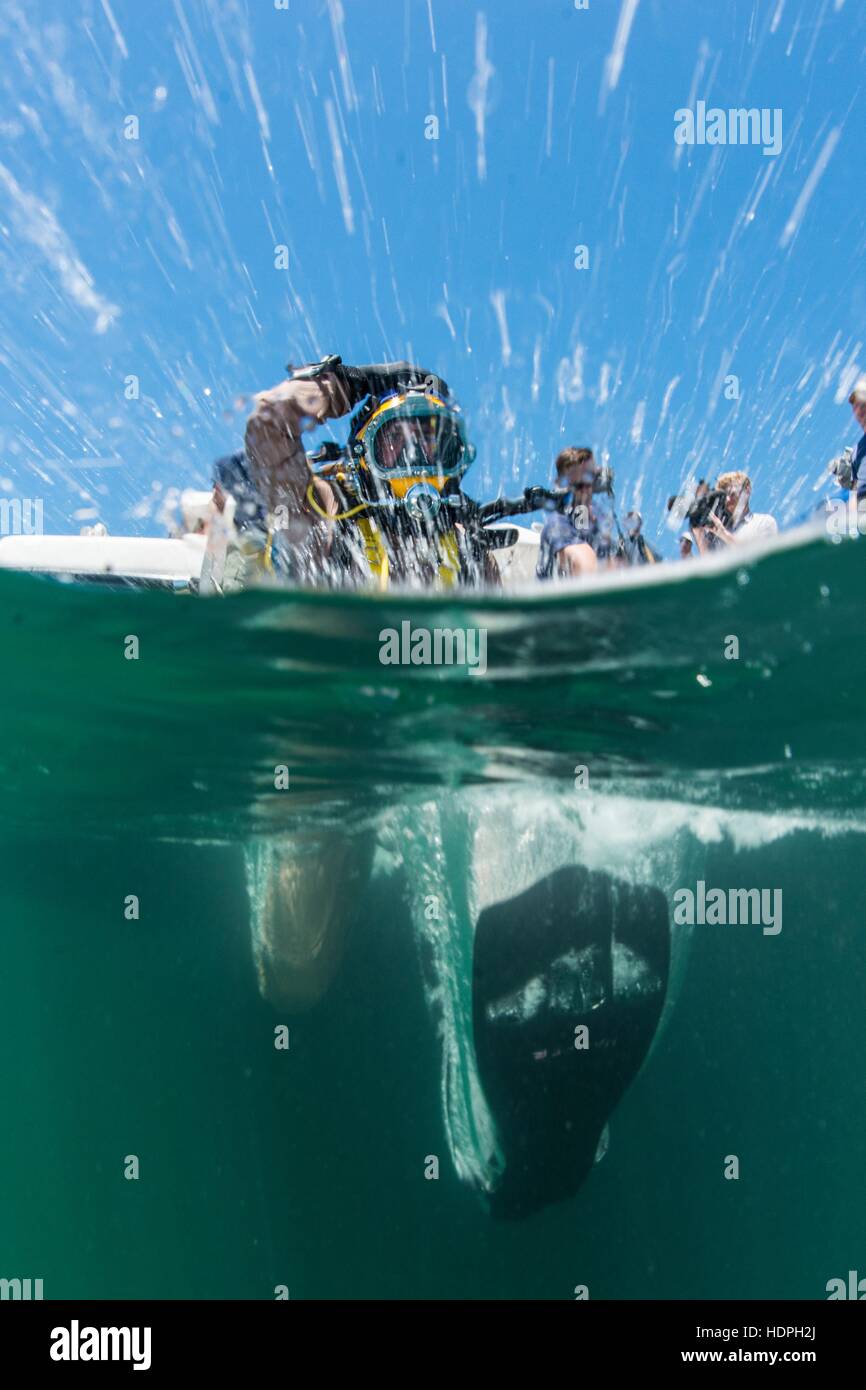 U.S. sailors enter the water for an underwater scuba diving salvage ...