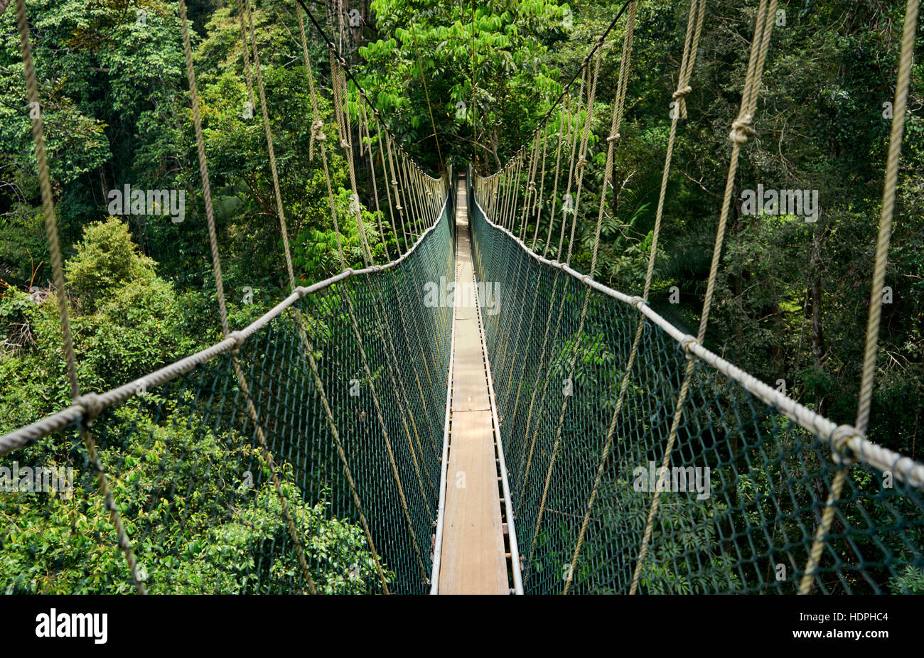 Canopy walk hi-res stock photography and images - Alamy