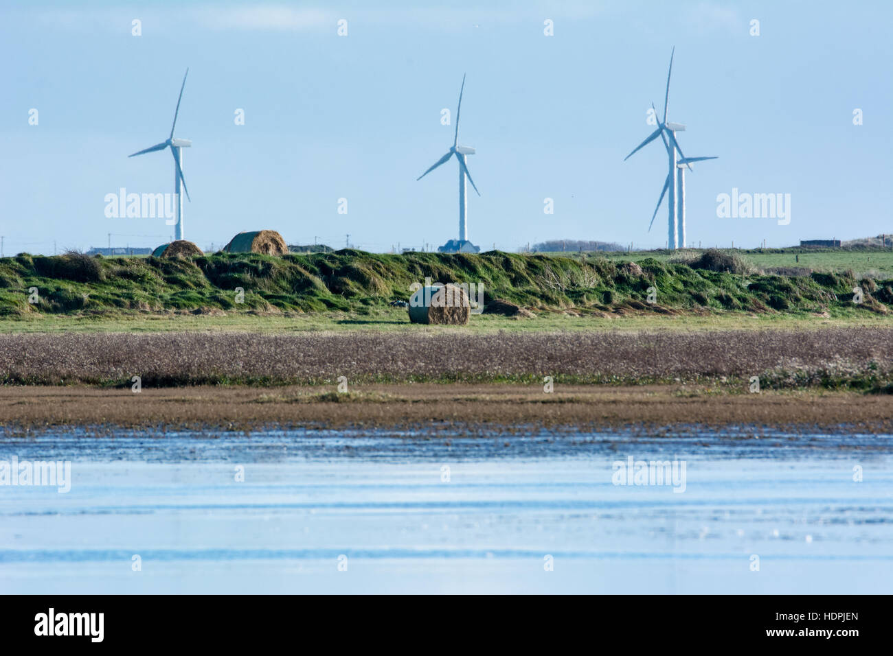 Wind farm turbines tower over farming countryside in Wexford in Ireland ...
