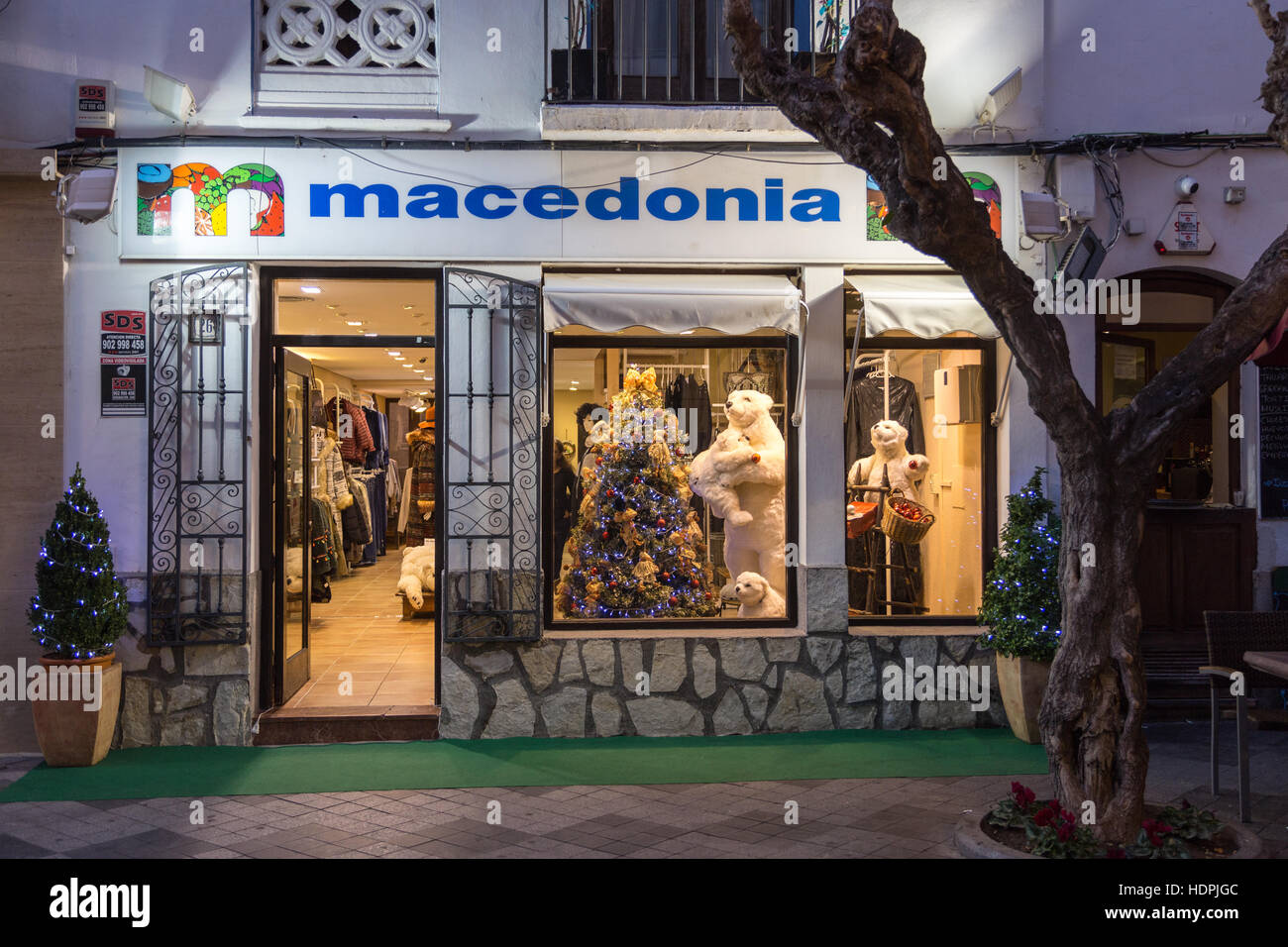 Christmas decorations in Benidorm, shop with polar bears and tree Stock ...