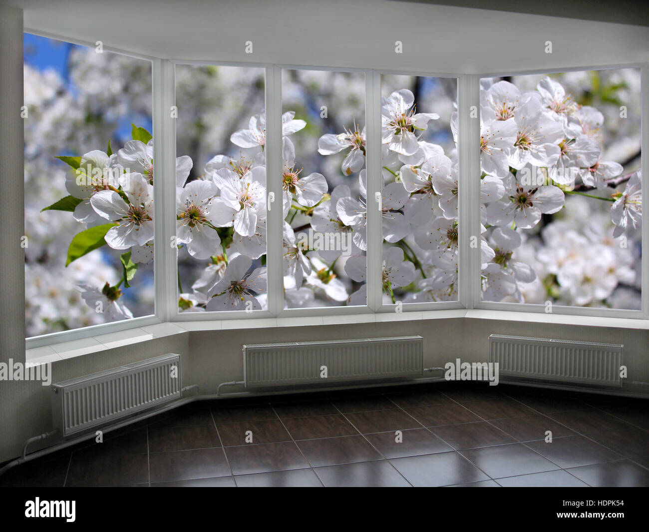 window in veranda overlooking the garden with blossoming cherry-tree ...