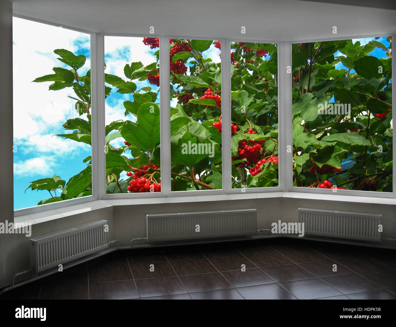 windows overlooking the garden with red ripe guelder-rose Stock Photo ...