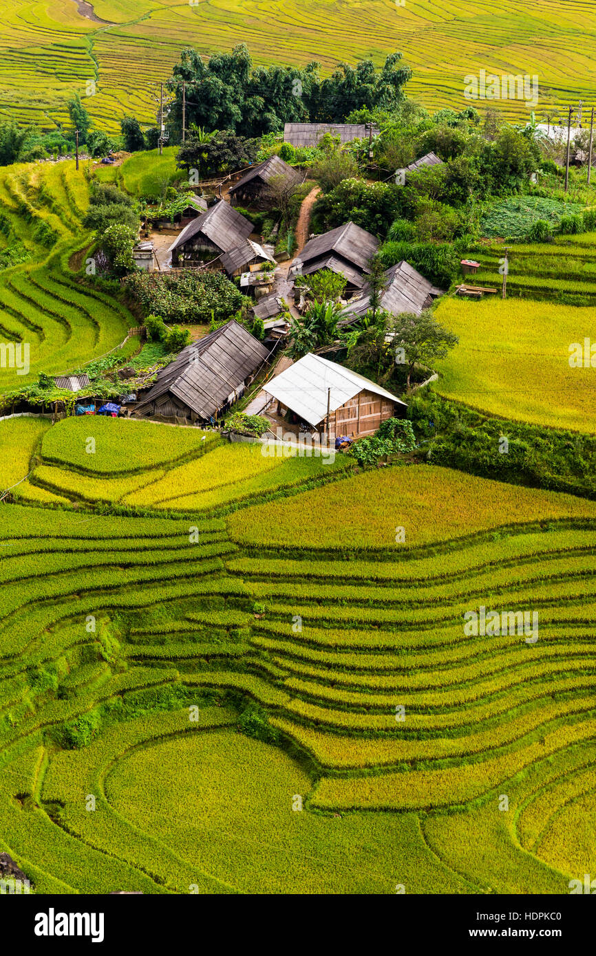 Paddy field , huts hi-res stock photography and images - Alamy