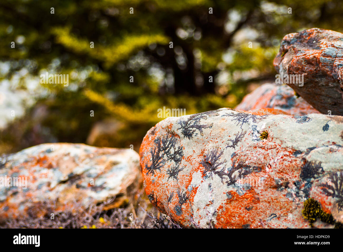 orange rocks with patterns over them Stock Photo - Alamy