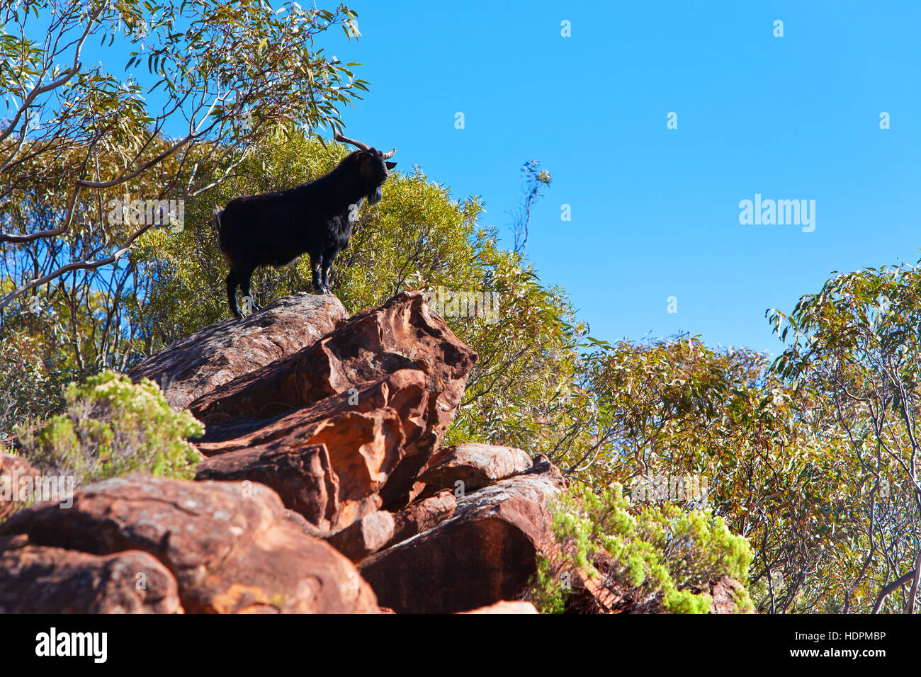 landscape outback Flinders Ranges Wilpena Pound South Australia ...