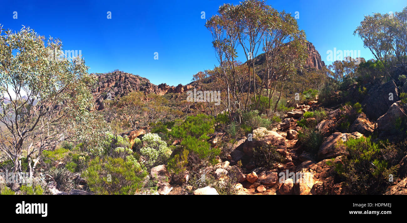 landscape outback Flinders Ranges Wilpena Pound South Australia ...