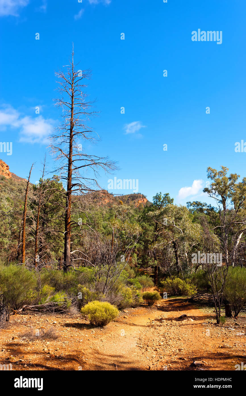 landscape outback Flinders Ranges Wilpena Pound South Australia ...