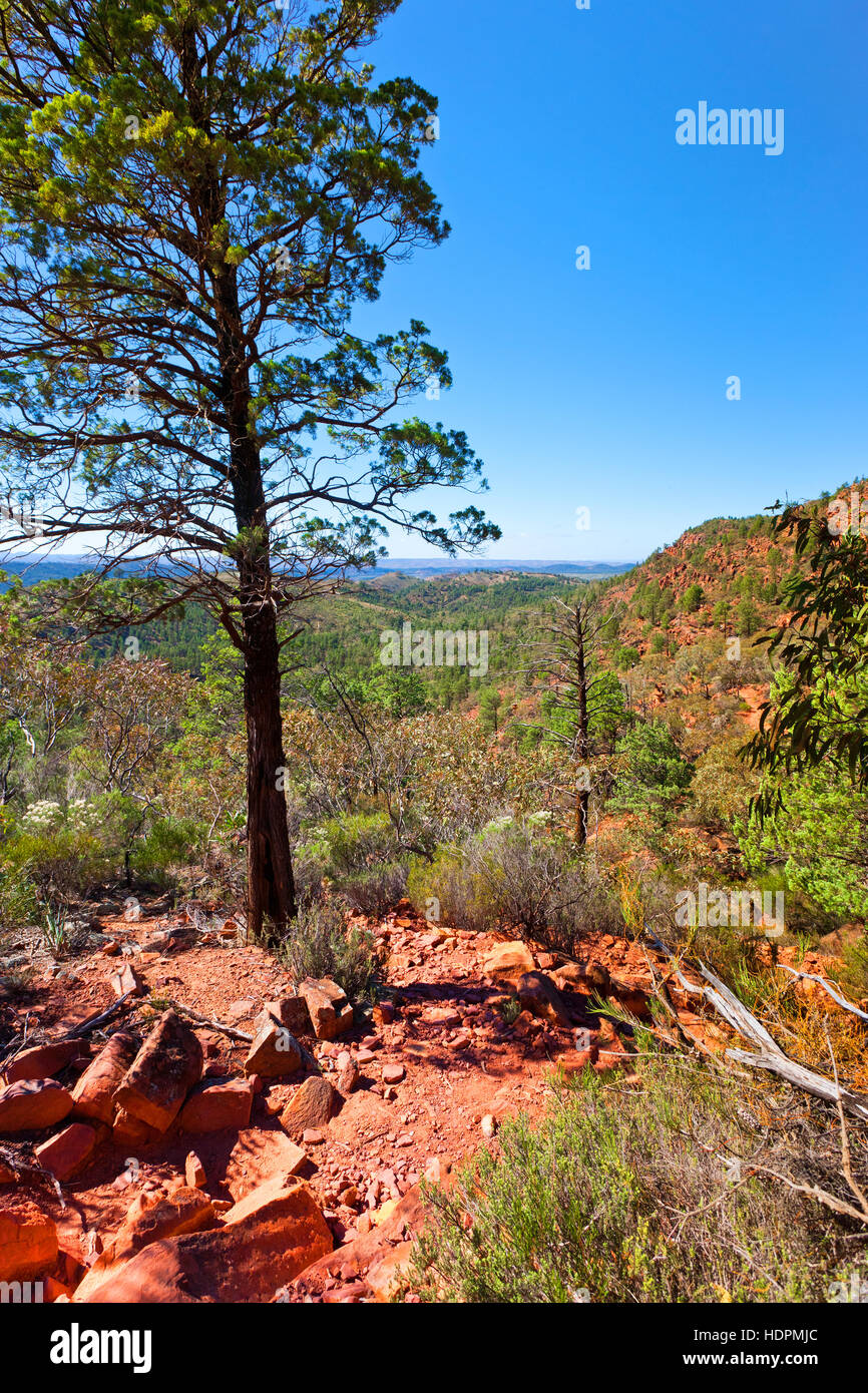 landscape outback Flinders Ranges Wilpena Pound South Australia ...