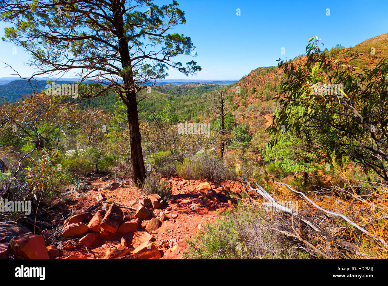 landscape outback Flinders Ranges Wilpena Pound South Australia ...