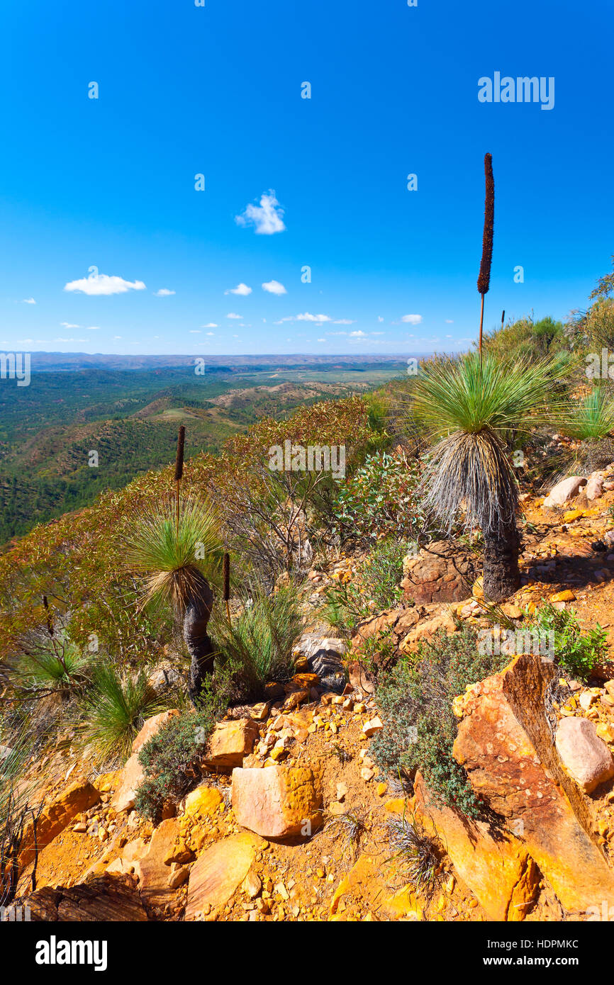 landscape outback Flinders Ranges South Australia Australian landscapes ...